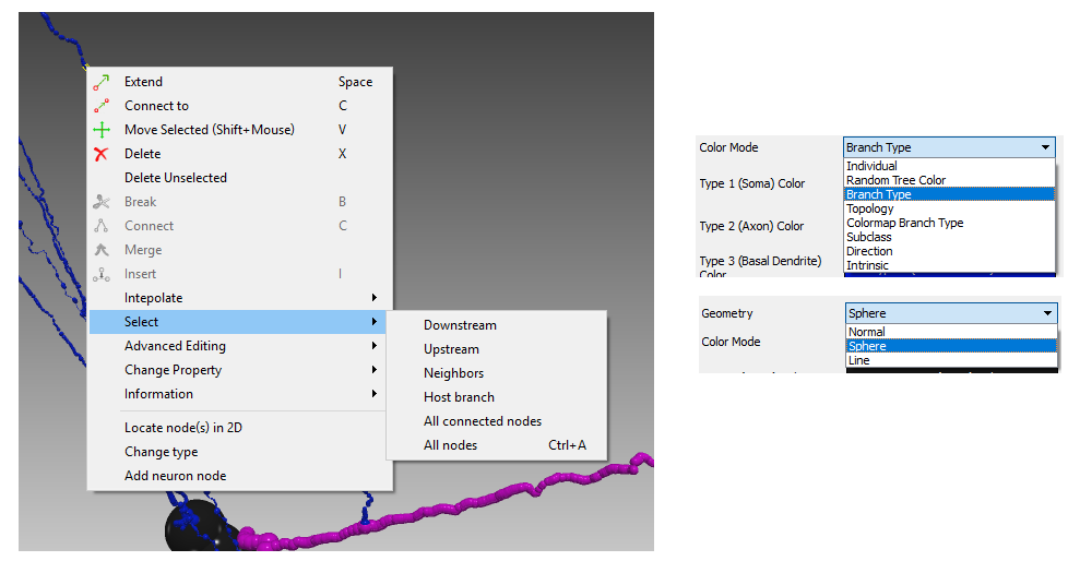 Tools for editing SWC files (neuron morphology) – Justas Birgiolas