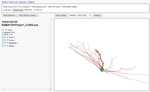 Tools for editing SWC files (neuron morphology) – Justas Birgiolas